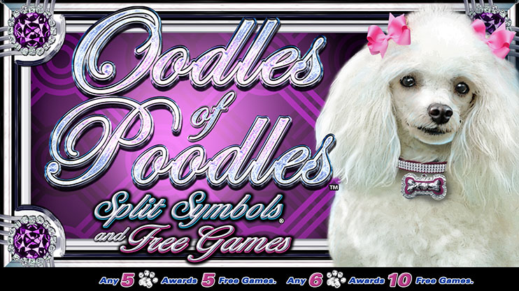 Oodles of Poodles - High 5 Games